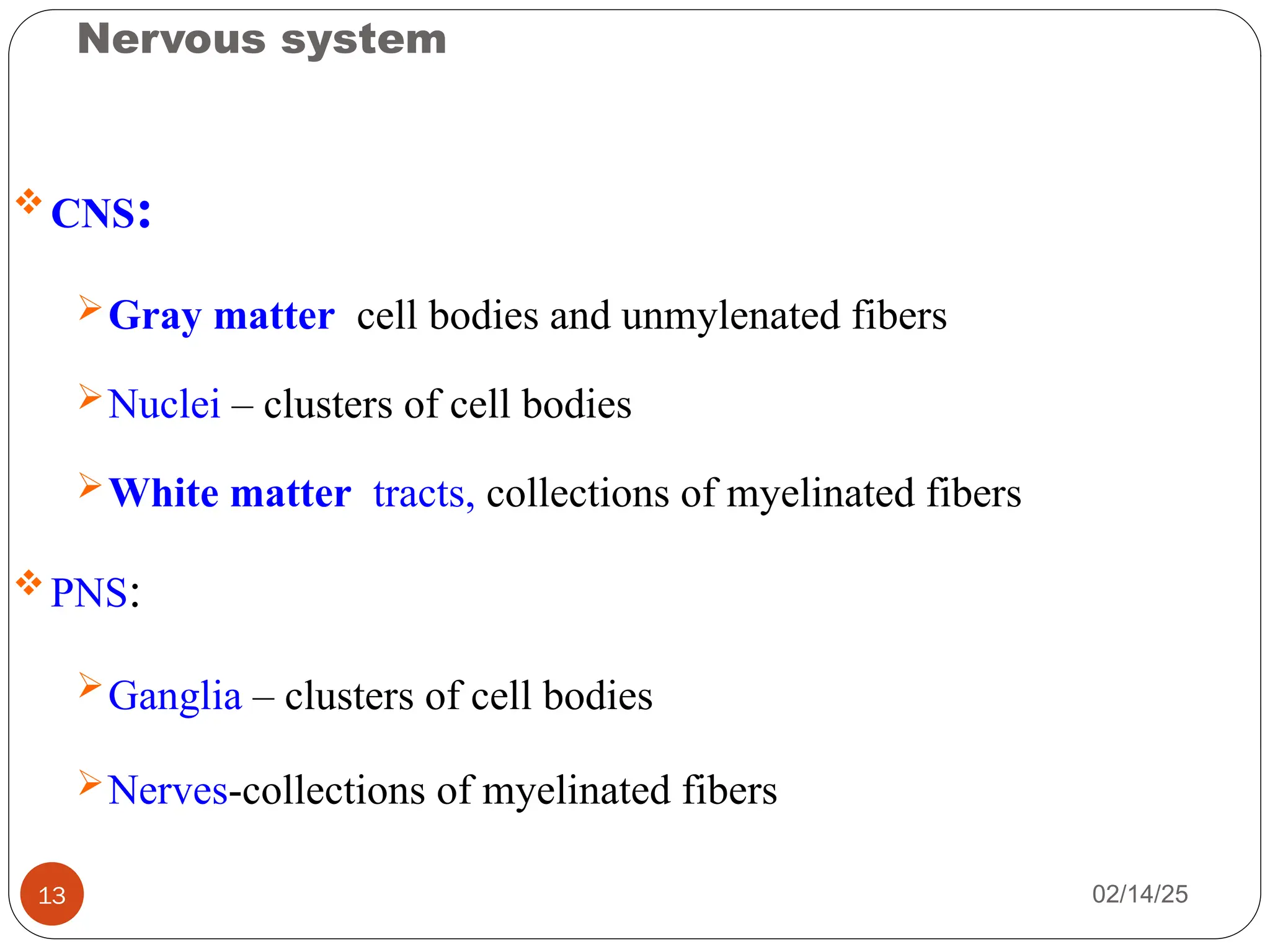 Nervous system OF HUMAN THAT CONTAILS NV | PPT