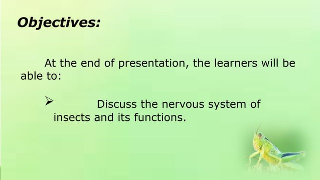 Insect Physiology: The Nervous System of an Insect | PPTX