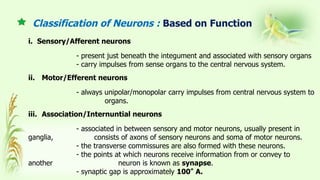 Insect Physiology: The Nervous System of an Insect | PPTX