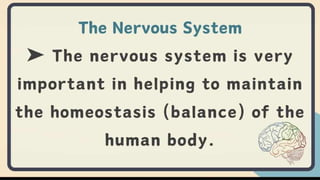 SCIENCE GRADE 10 NERVOUS SYSTEM PART 1 .pptx