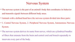 Nervous System affections in veterinary medicine.pptx