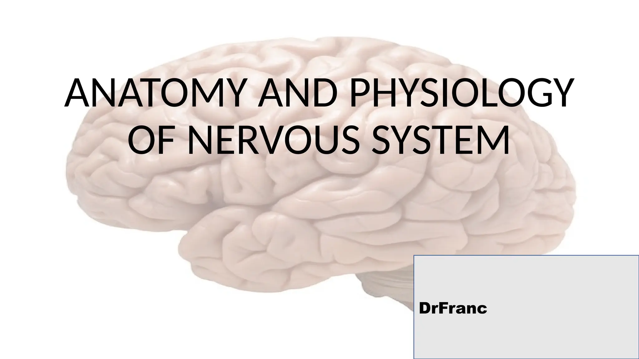 Anatomy and physiology of the nervous system.pptx