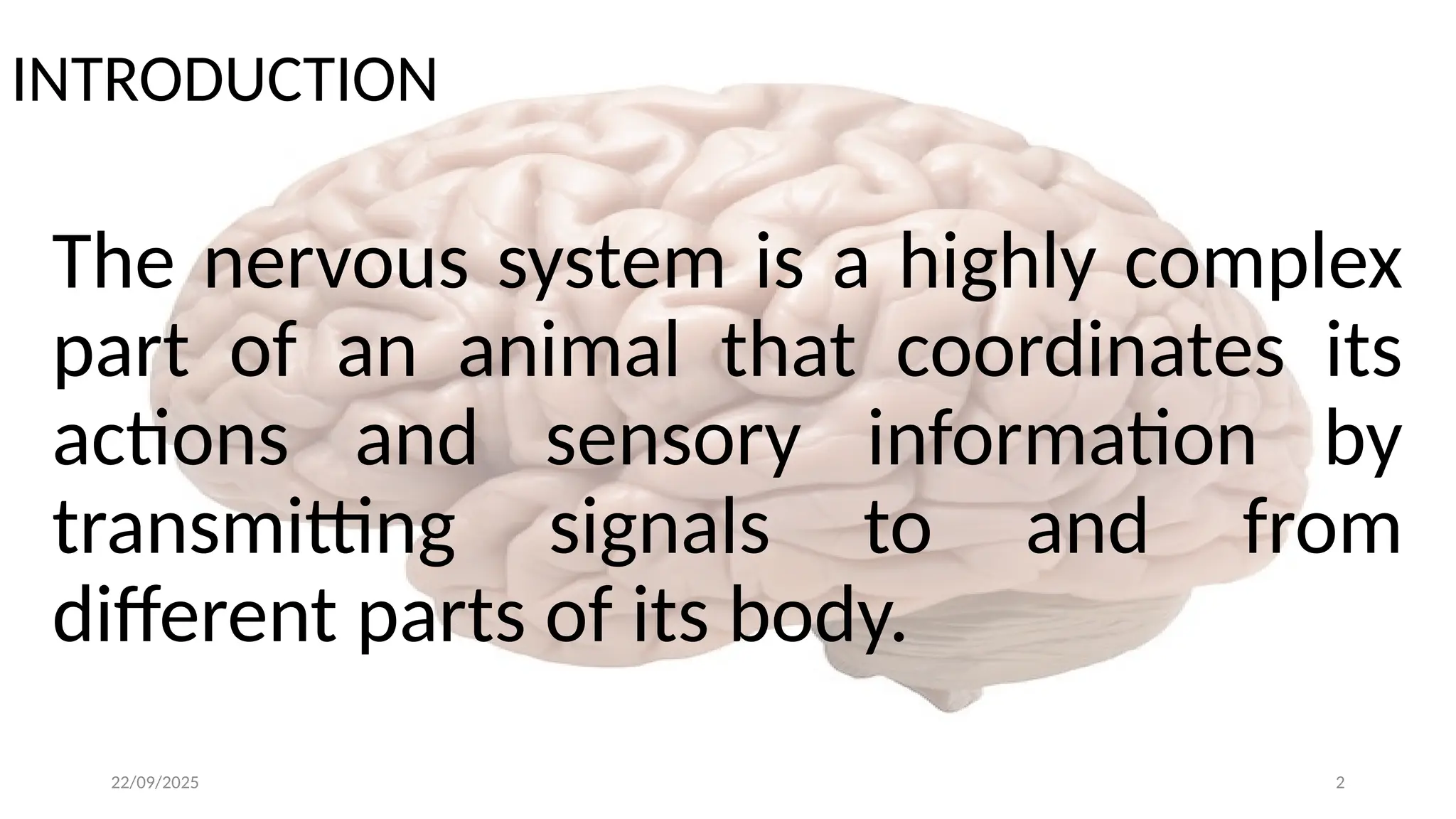 Anatomy and physiology of the nervous system.pptx
