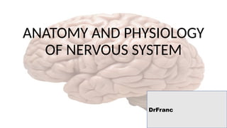Anatomy and physiology of the nervous system.pptx