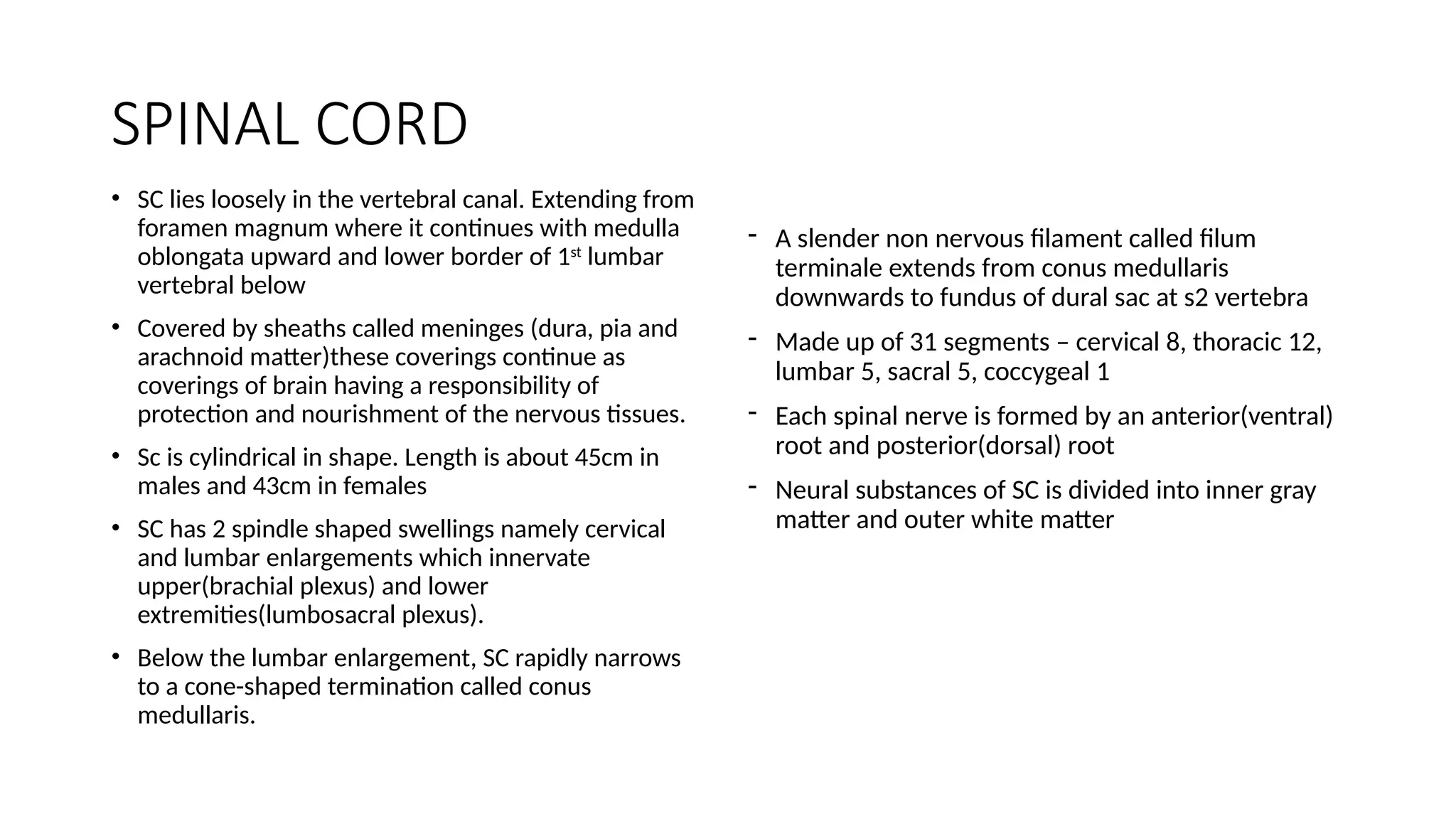 NERVOUS SYSTEM IN INTRODUCTION TO GENERAL ANATOMY | PPTX