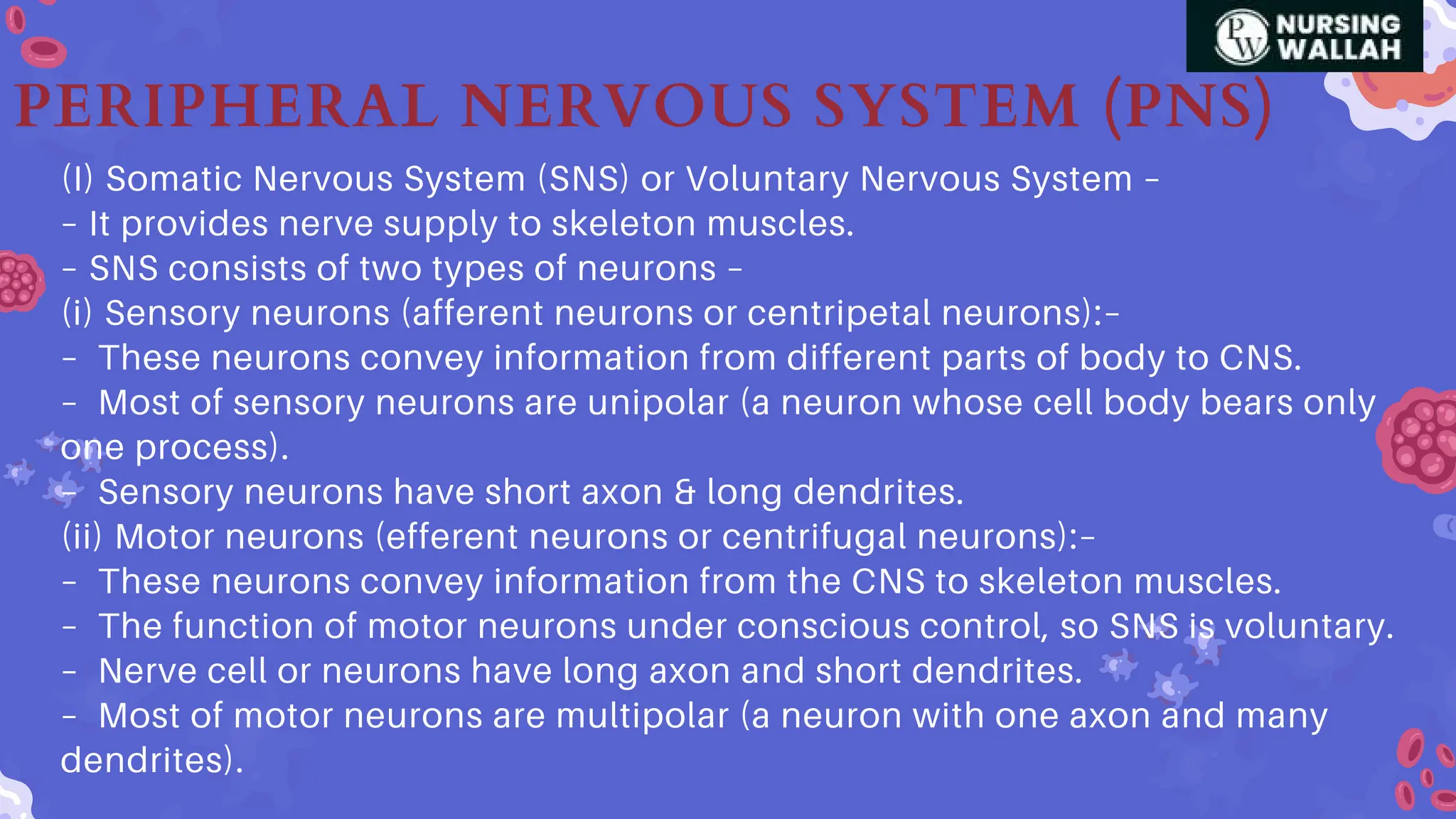 Nervous System bsc nursing first semester | PDF