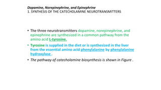 Nervous System-Biochem-4-2025.pdffefwfqwfe | PDF