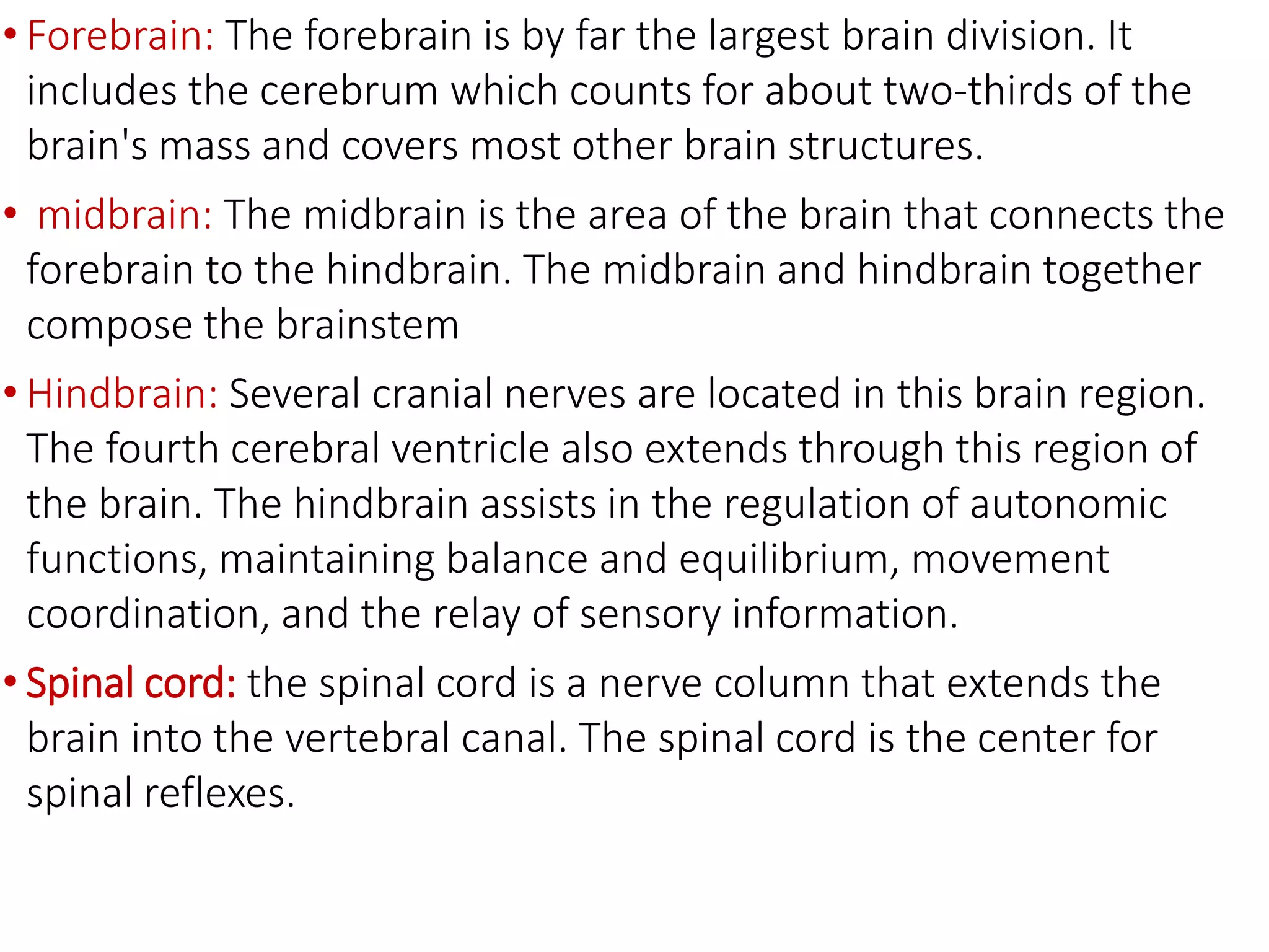 Nervous System-class 6.pdf