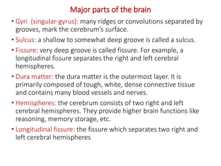 Nervous System-class 6.pdf