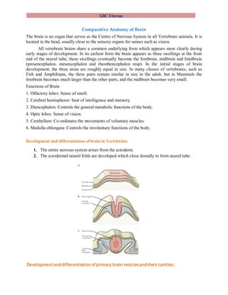 Nervous System- Comparative account of Brain.pdf
