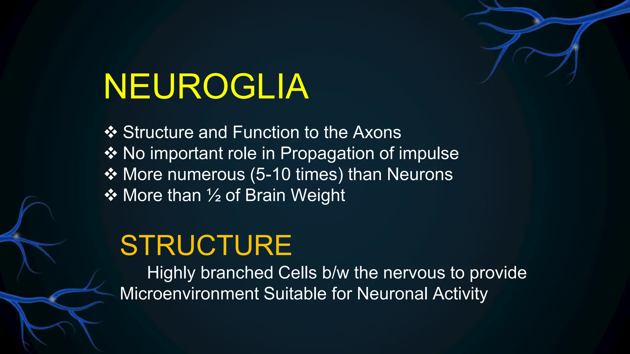 Nervous System -Autonomic Nervous System-Neurons -Ganglia - Nerves Copy ...