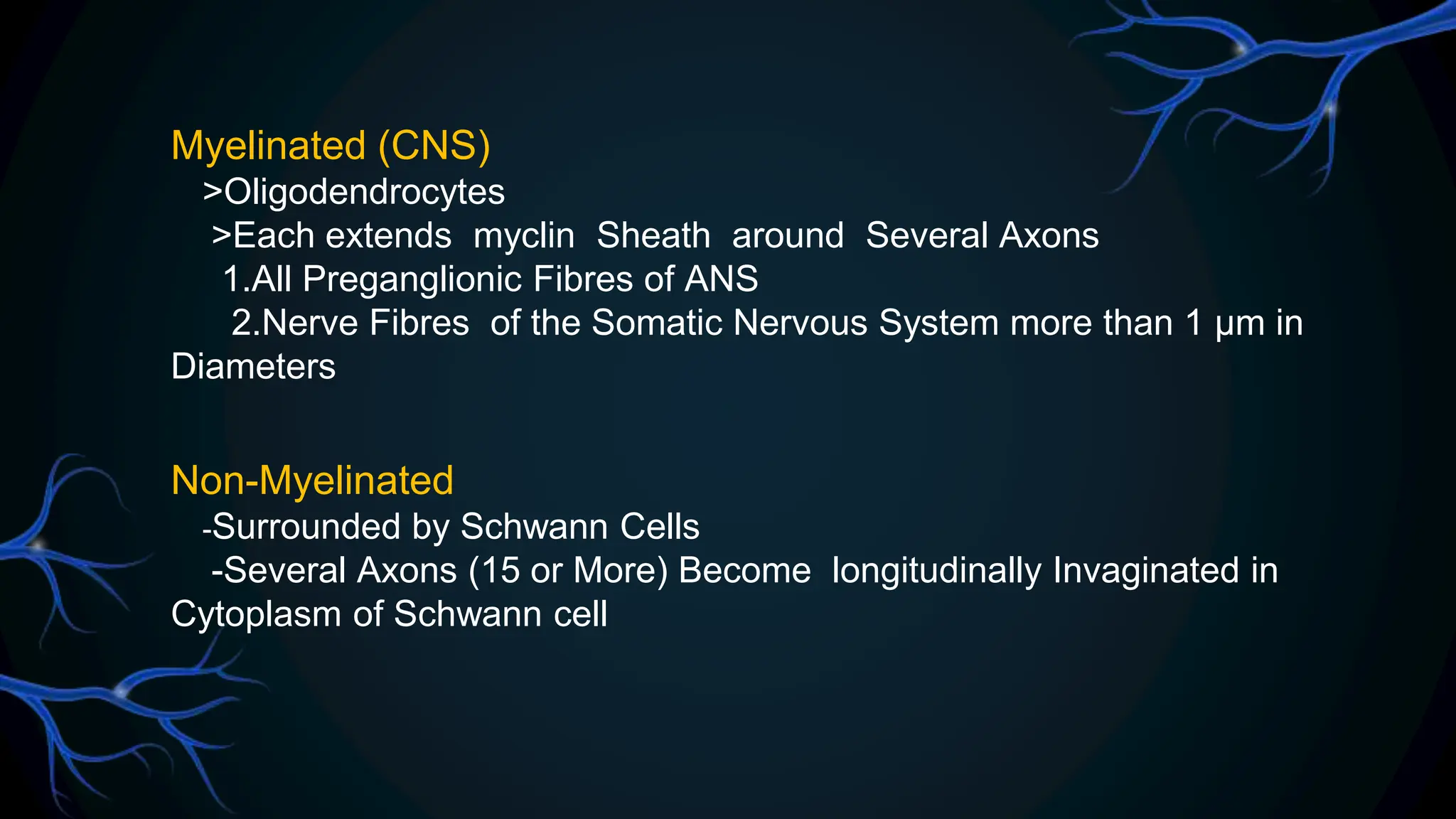Nervous System -Autonomic Nervous System-Neurons -Ganglia - Nerves Copy ...