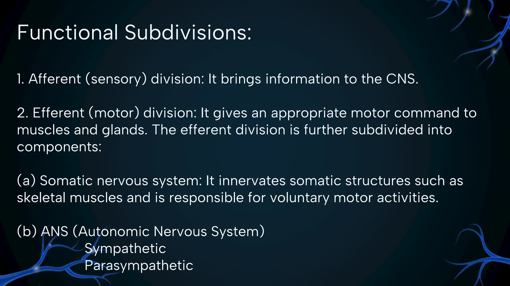 Nervous System -Autonomic Nervous System-Neurons -Ganglia - Nerves Copy ...