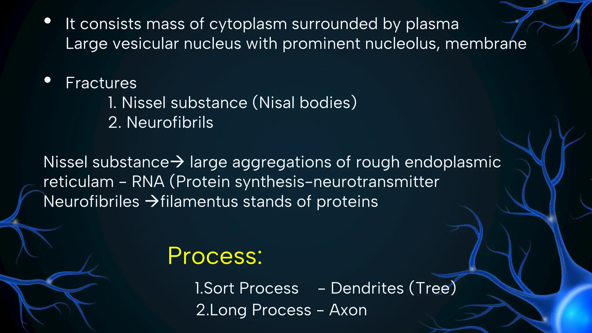 Nervous System -Autonomic Nervous System-Neurons -Ganglia - Nerves Copy ...