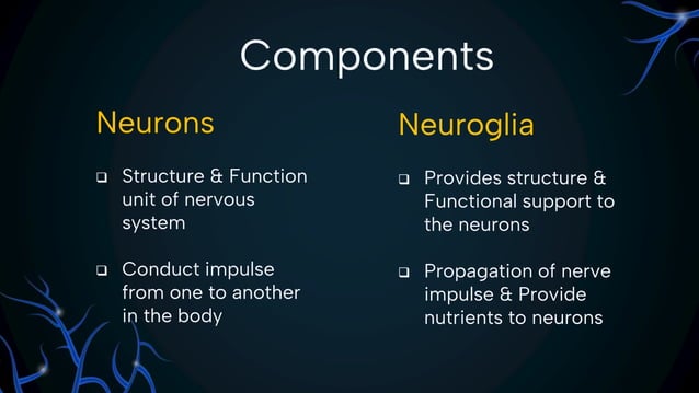 Nervous System -Autonomic Nervous System-Neurons -Ganglia - Nerves Copy. | PPT