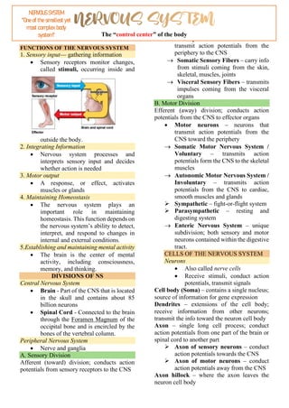 NERVOUS SYSTEM - DIVISION OF NS.pdf