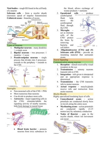 NERVOUS SYSTEM - DIVISION OF NS.pdf