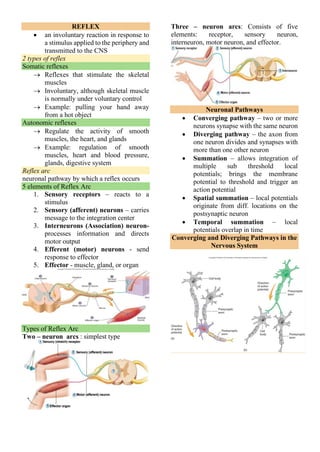 NERVOUS SYSTEM - DIVISION OF NS.pdf