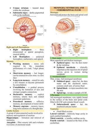NERVOUS SYSTEM - DIVISION OF NS.pdf
