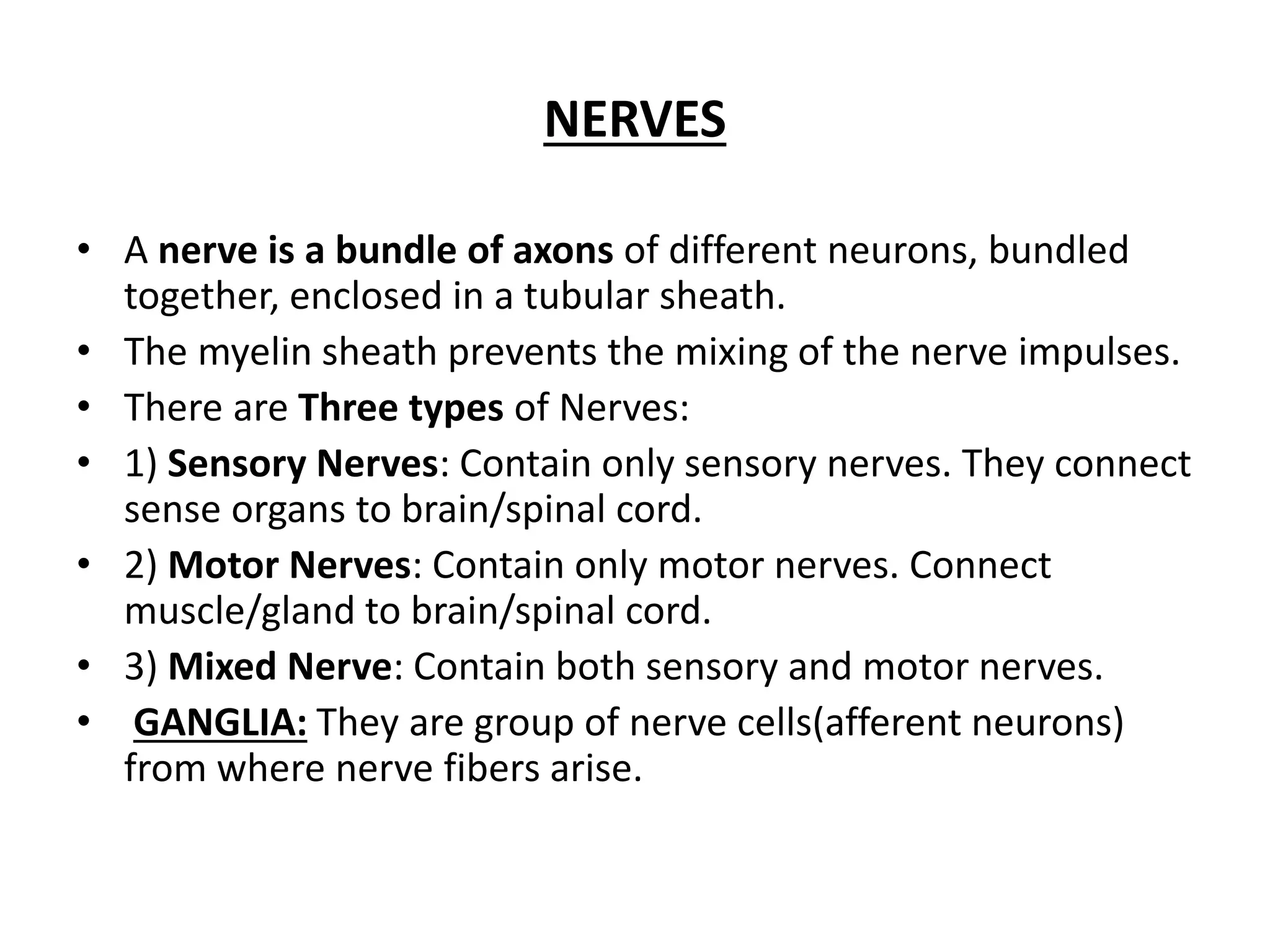 NERVOUS SYSTEM - grade 10.pptx