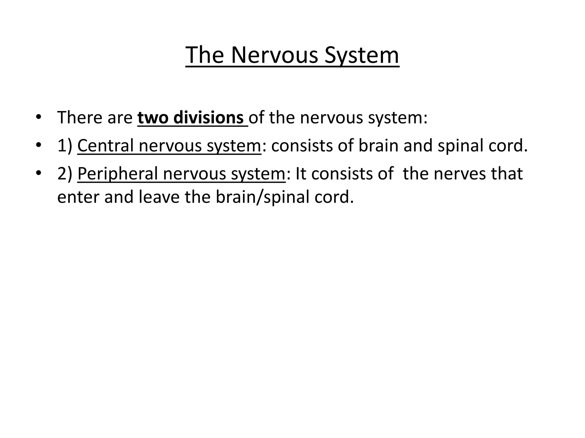 NERVOUS SYSTEM - grade 10.pptx