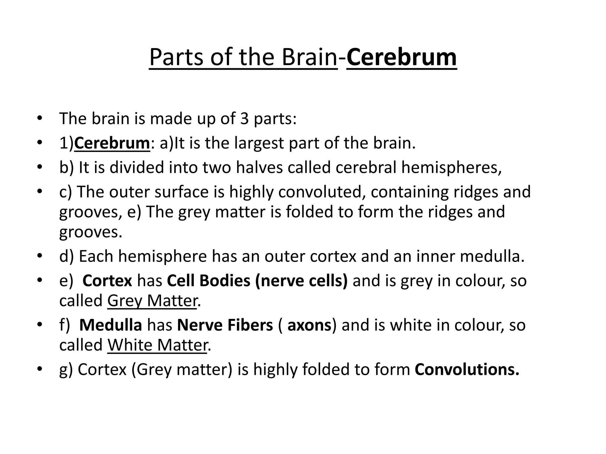 NERVOUS SYSTEM - grade 10.pptx