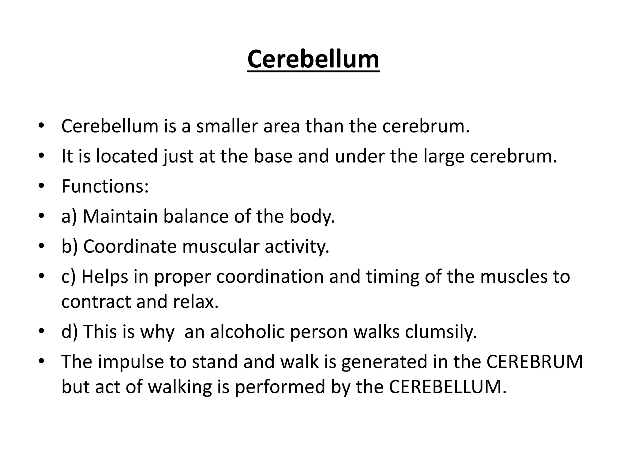 NERVOUS SYSTEM - grade 10.pptx