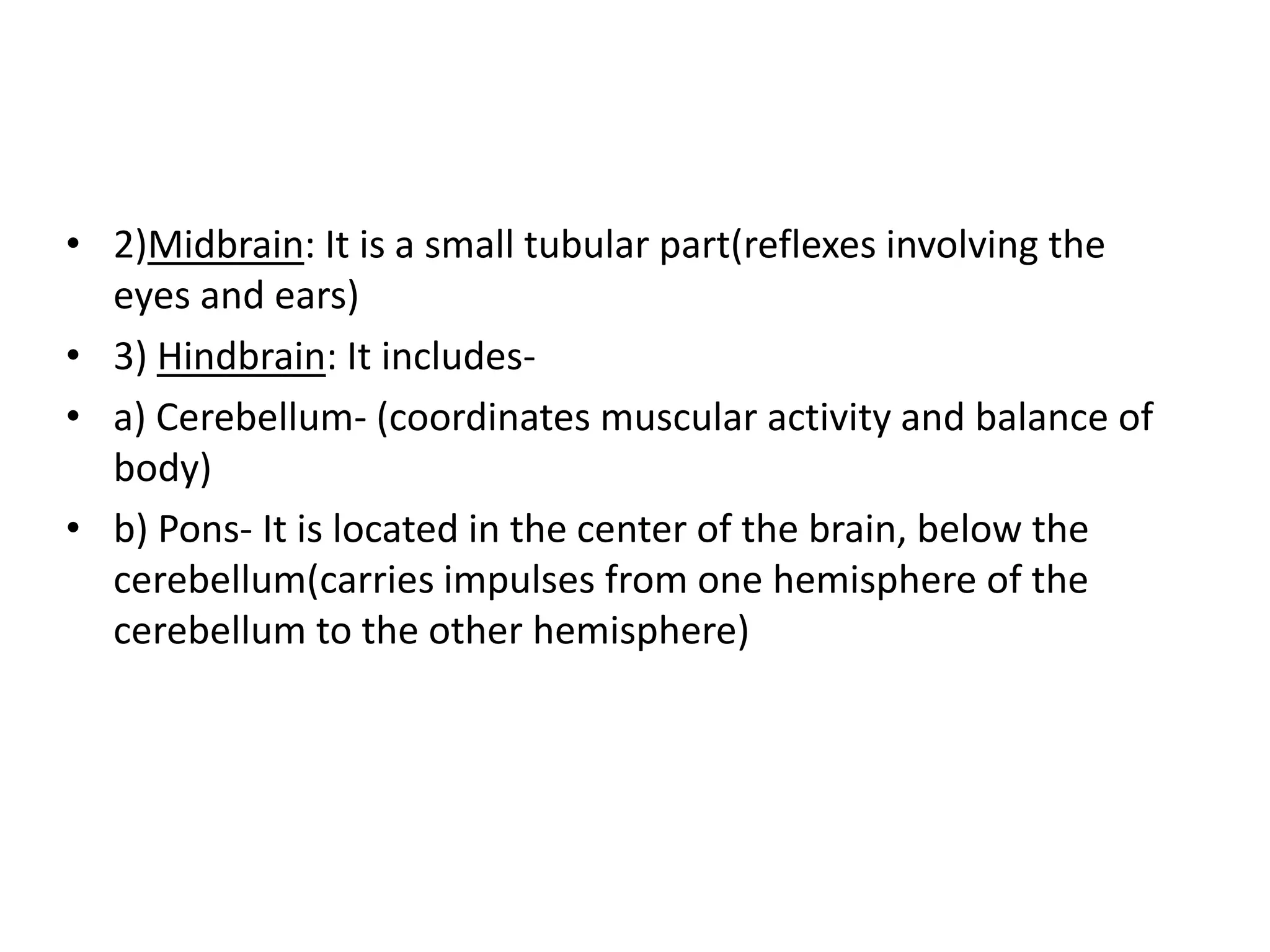 NERVOUS SYSTEM - grade 10.pptx
