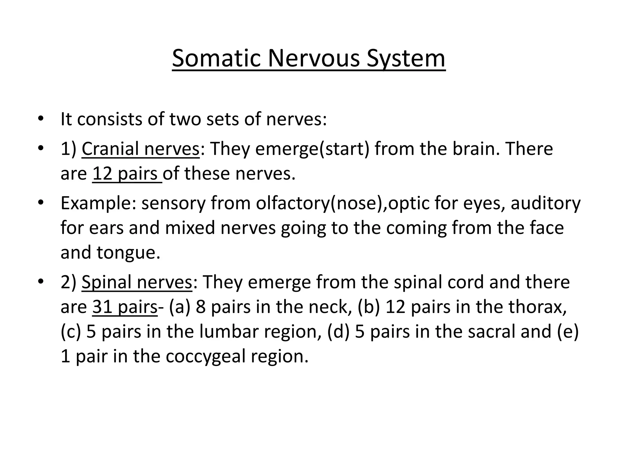 NERVOUS SYSTEM - grade 10.pptx
