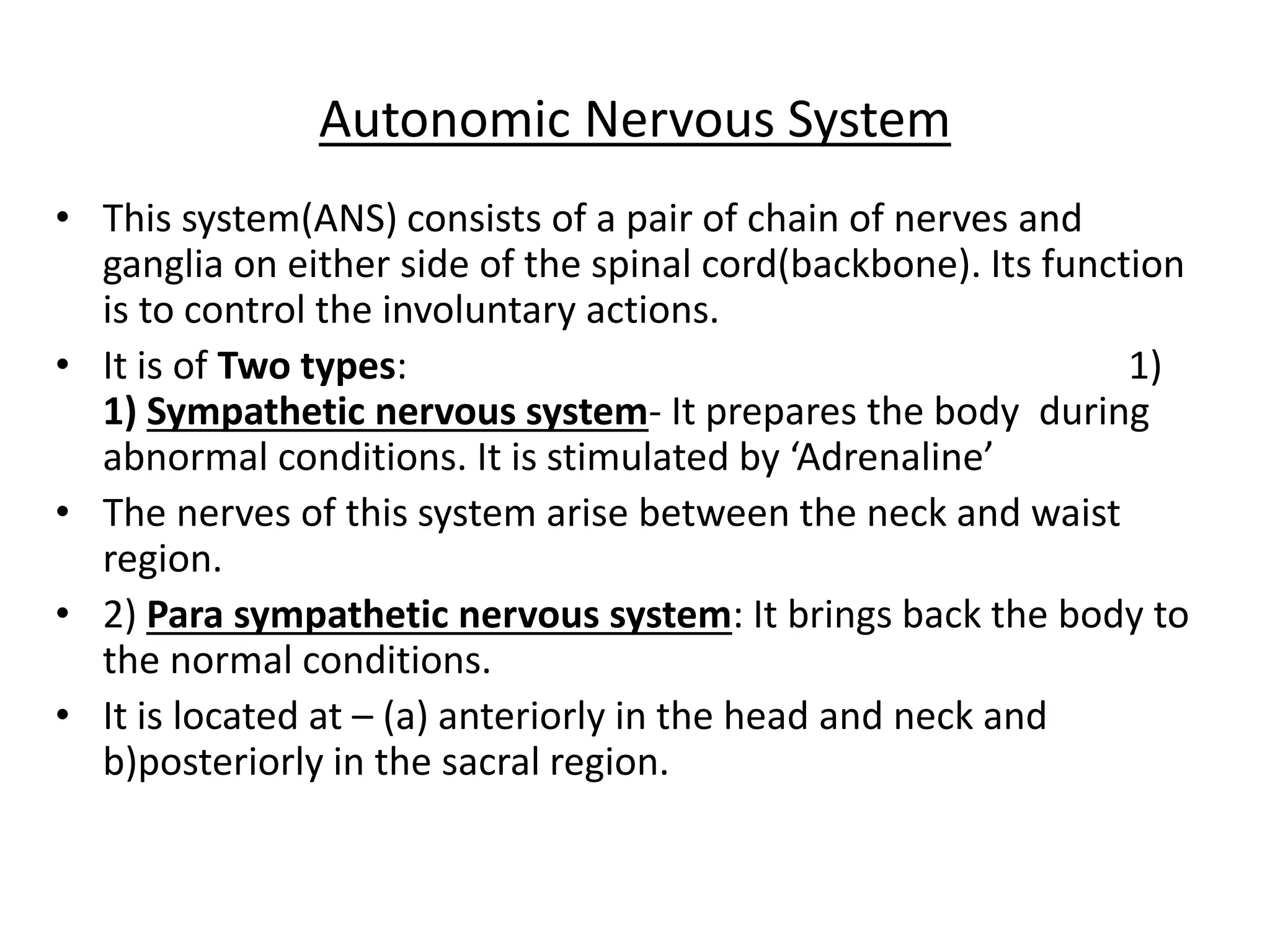 NERVOUS SYSTEM - grade 10.pptx