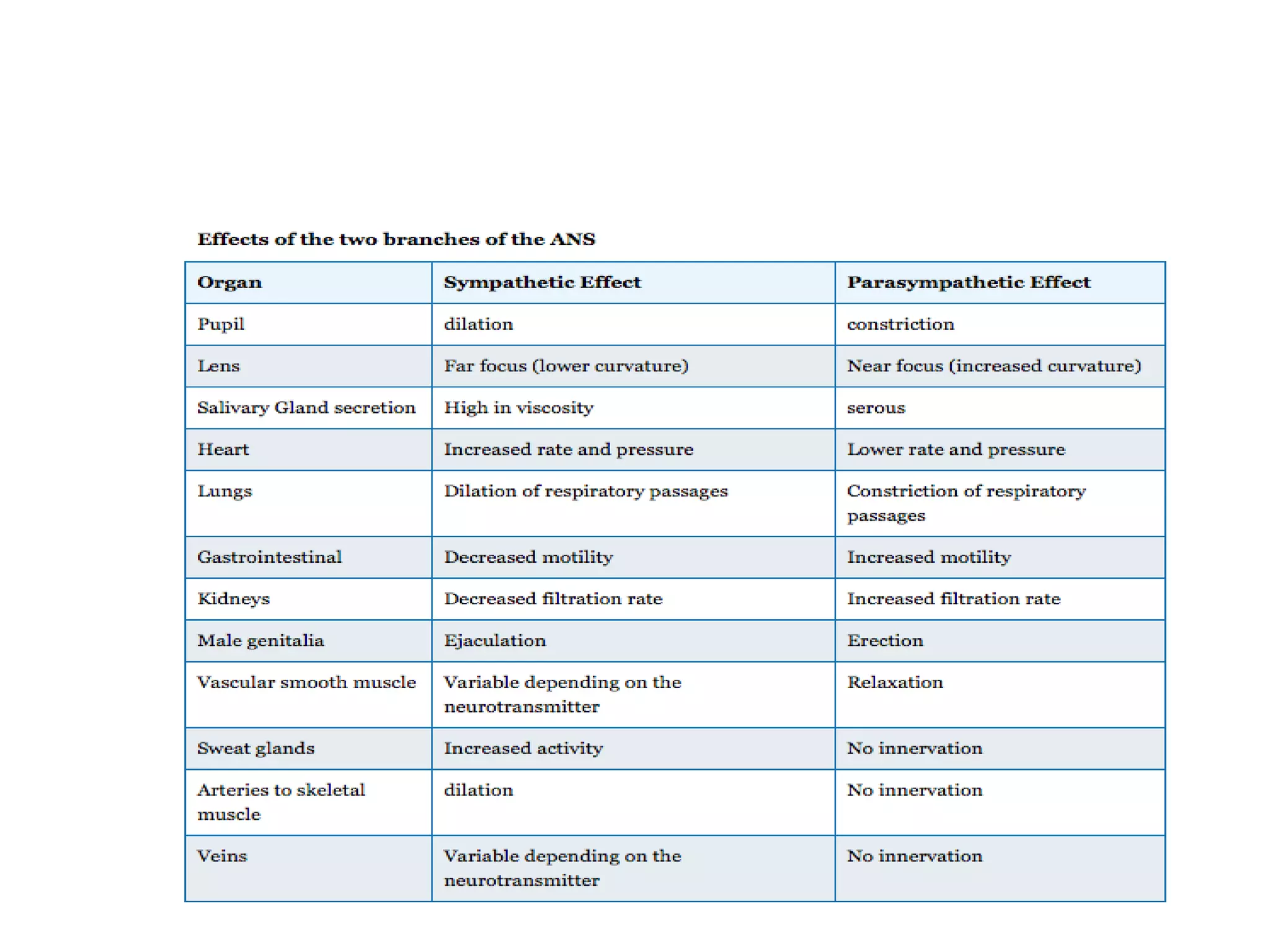 NERVOUS SYSTEM - grade 10.pptx
