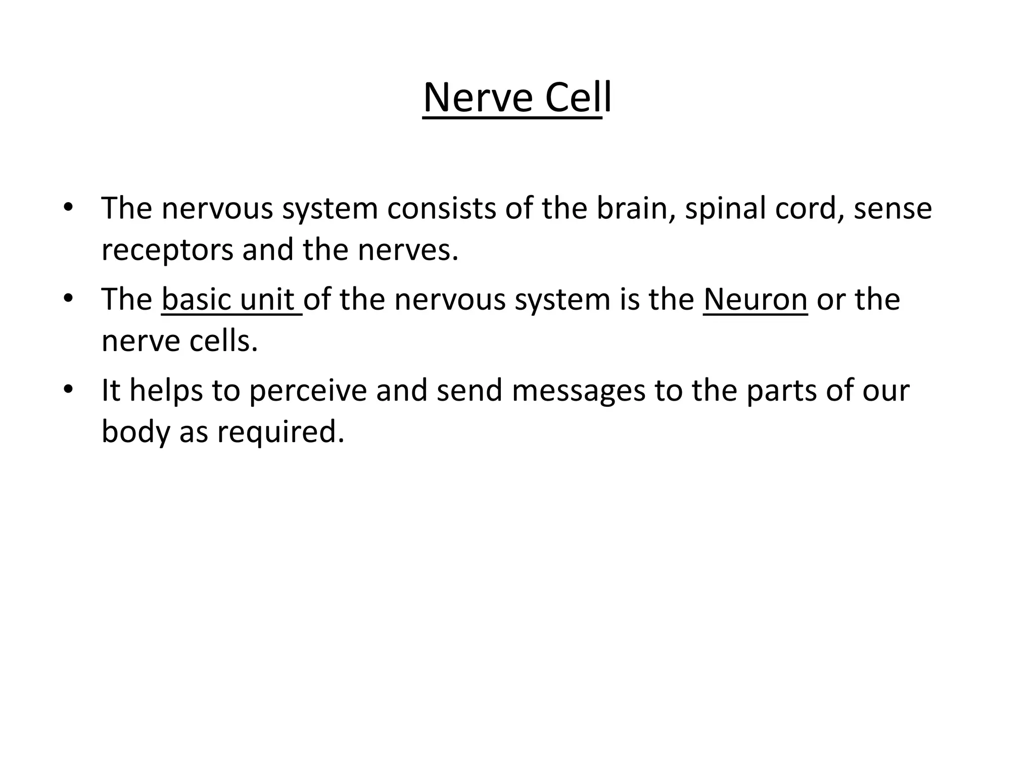 NERVOUS SYSTEM - grade 10.pptx