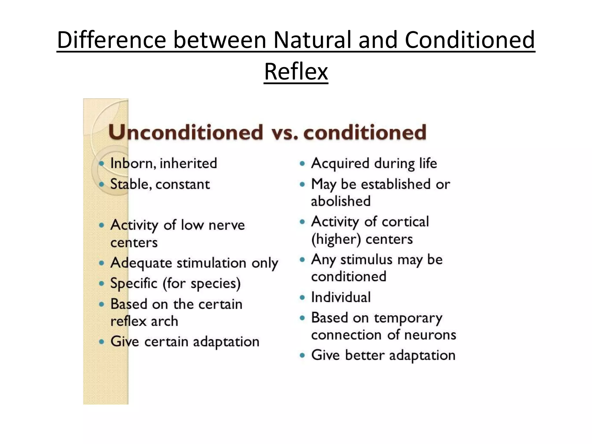 NERVOUS SYSTEM - grade 10.pptx