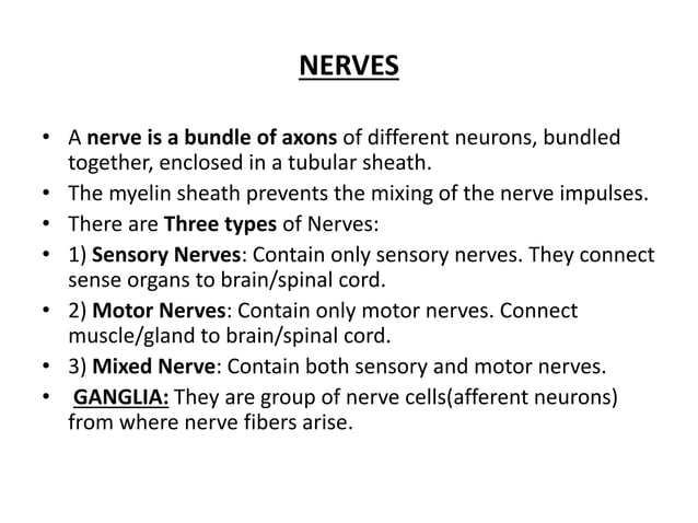NERVOUS SYSTEM - grade 10.pptx