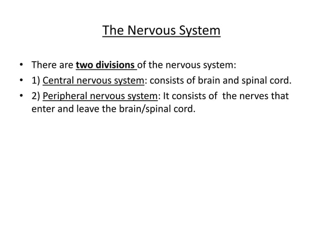 NERVOUS SYSTEM - grade 10.pptx