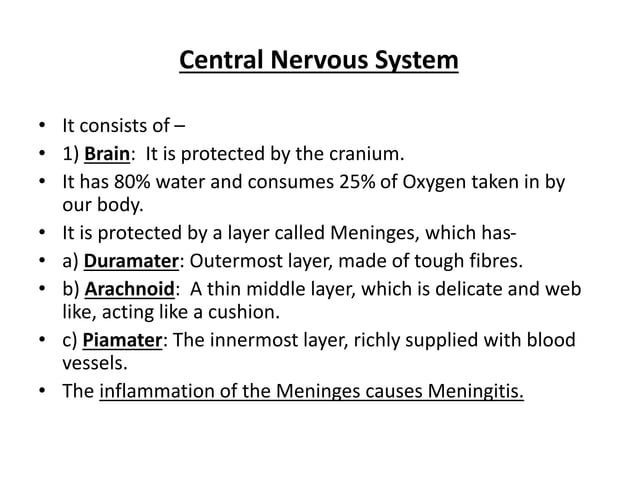 NERVOUS SYSTEM - grade 10.pptx