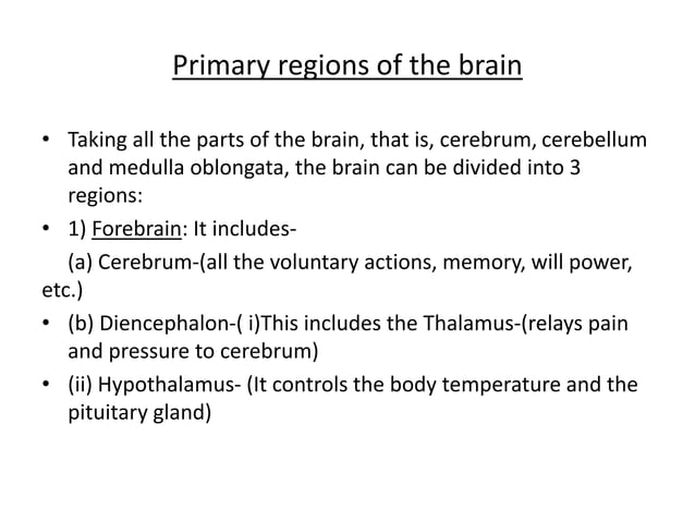 NERVOUS SYSTEM - grade 10.pptx