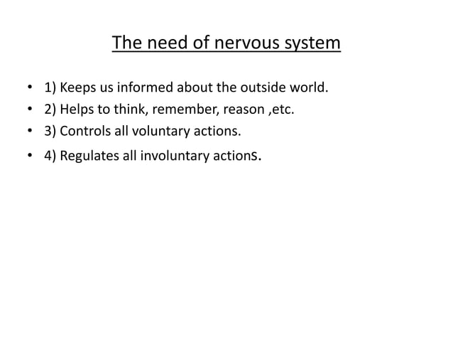 NERVOUS SYSTEM - grade 10.pptx