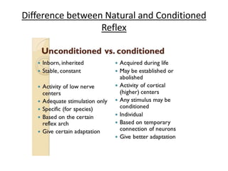 NERVOUS SYSTEM - grade 10.pptx