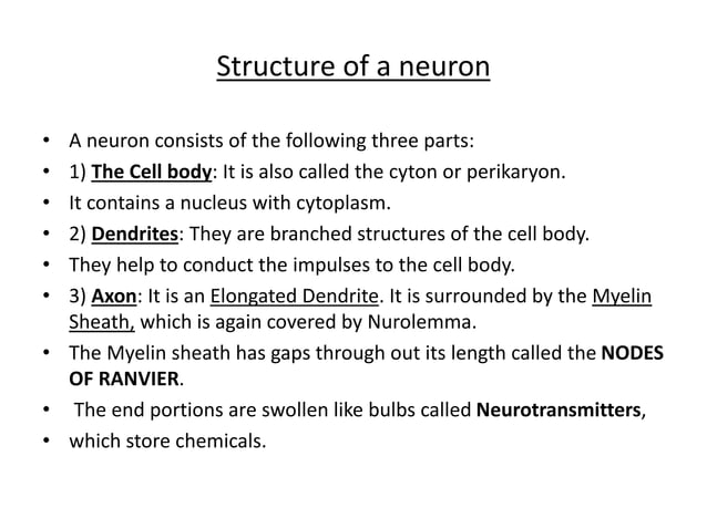 NERVOUS SYSTEM - grade 10.pptx