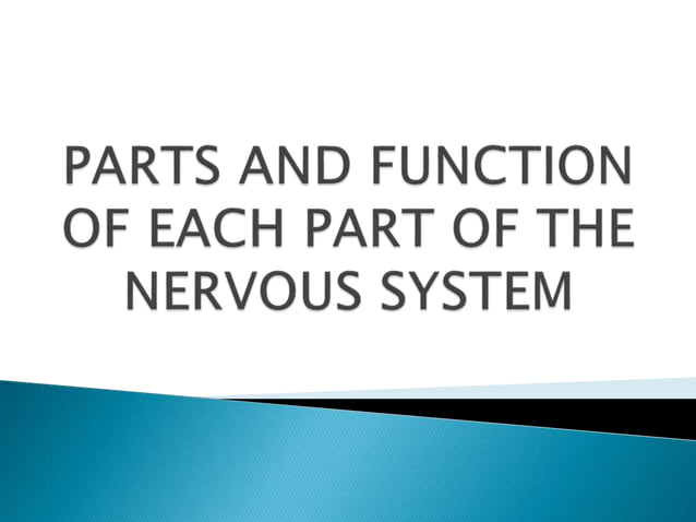 Nervous system lecture simplified | PPT
