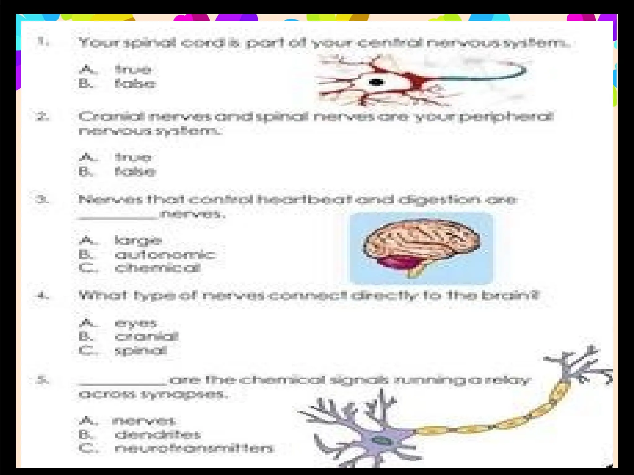 LESSON IN SCIENCE 6-NERVOUS SYSTEM-LESSON.pptx
