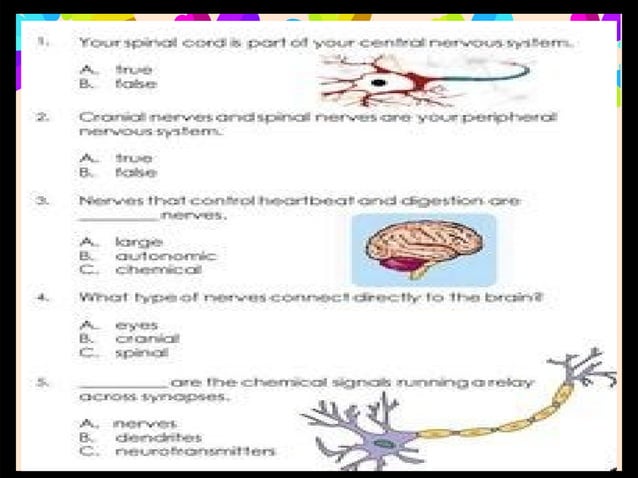 LESSON IN SCIENCE 6-NERVOUS SYSTEM-LESSON.pptx
