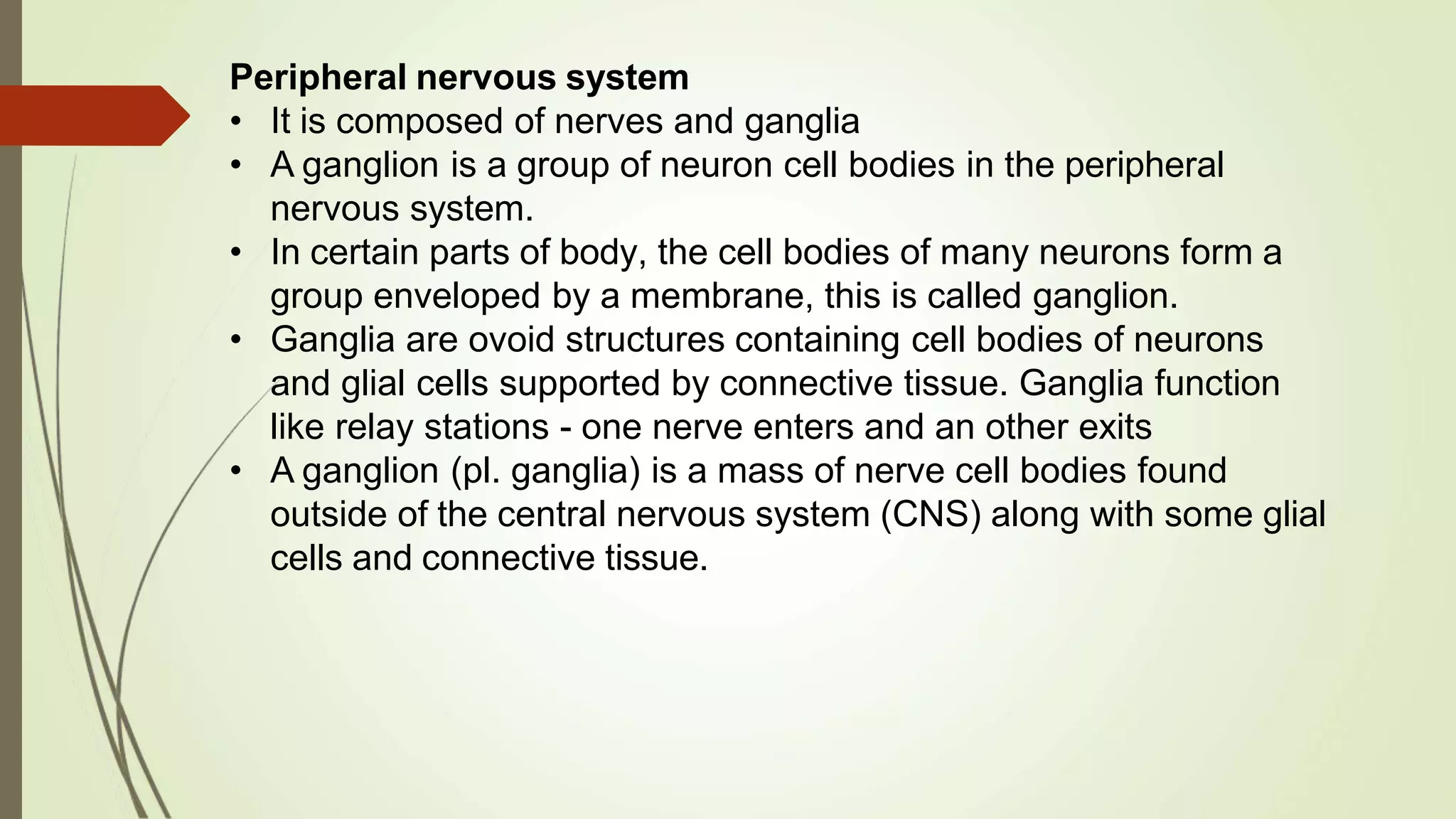 Nervous System-ppt.pptx