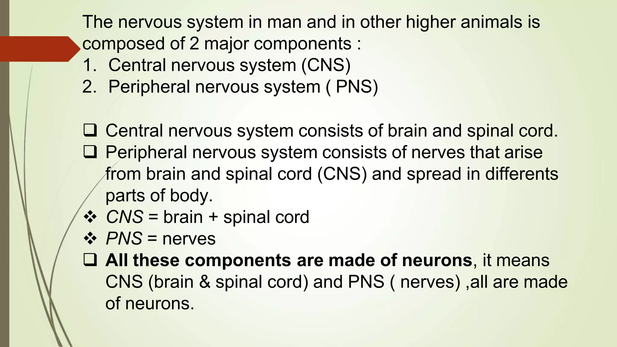 Nervous System-ppt.pptx