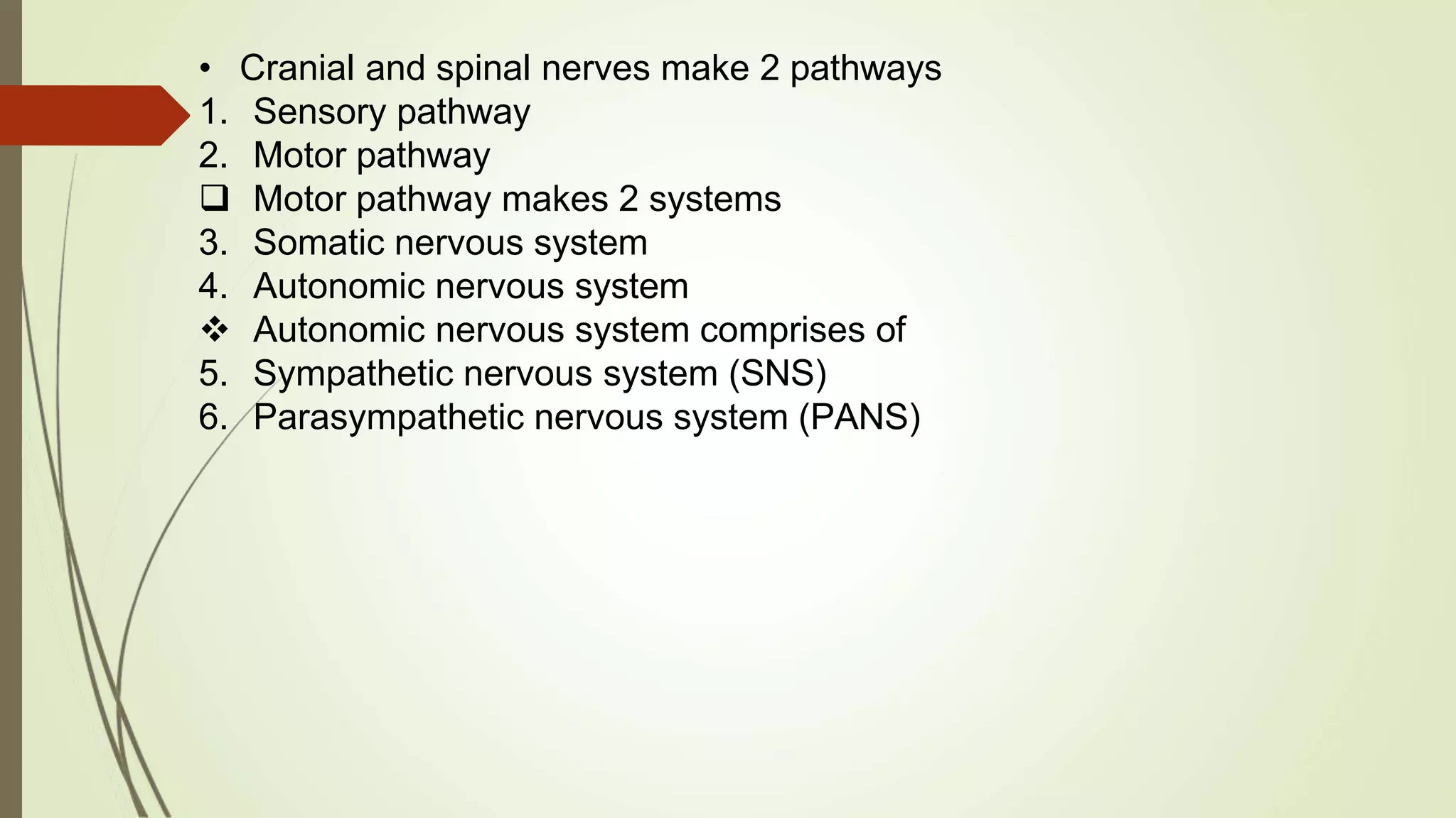 Nervous System-ppt.pptx