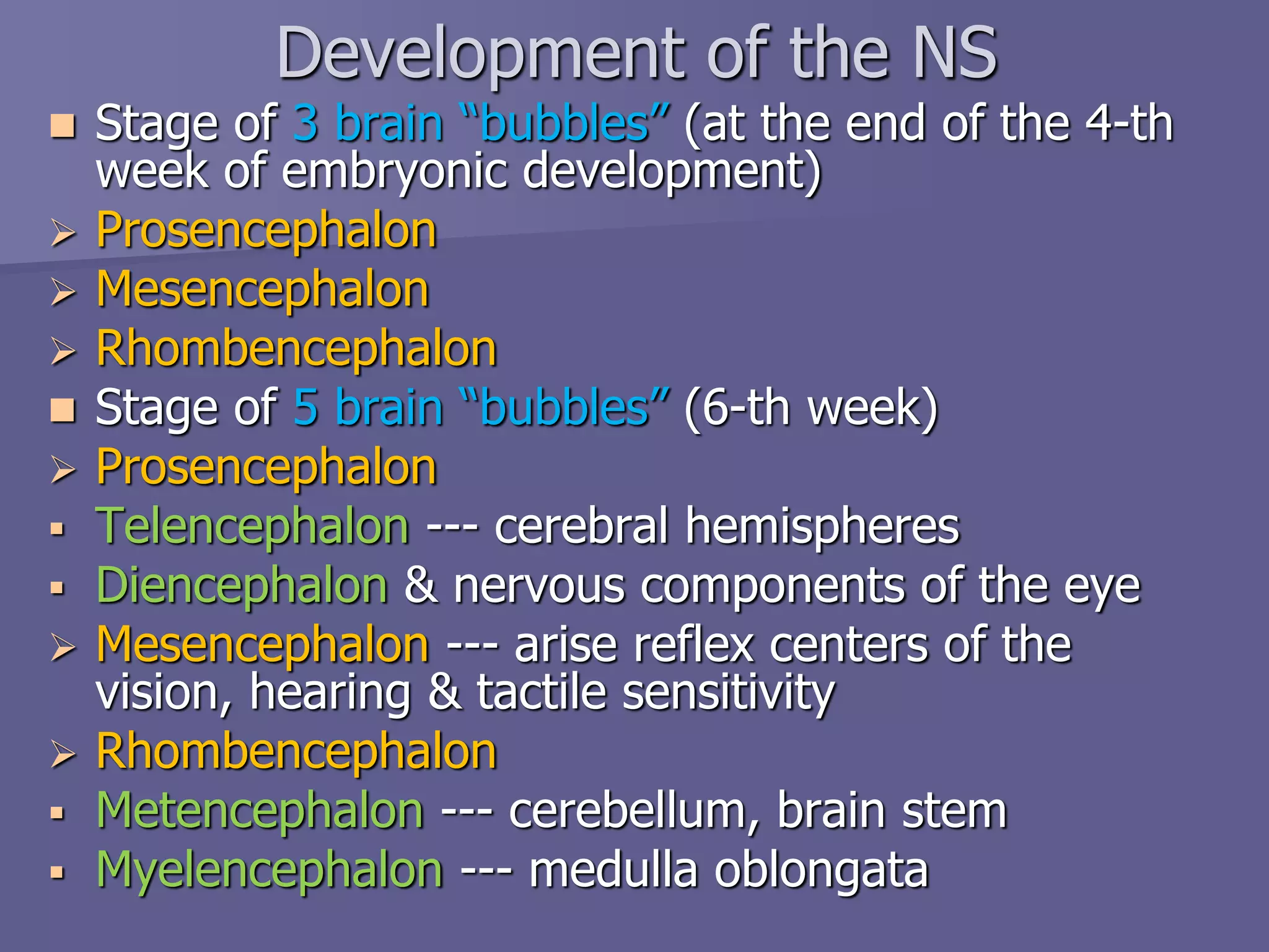 Nervous system1 | PDF