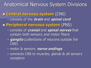 Nervous system1 | PDF