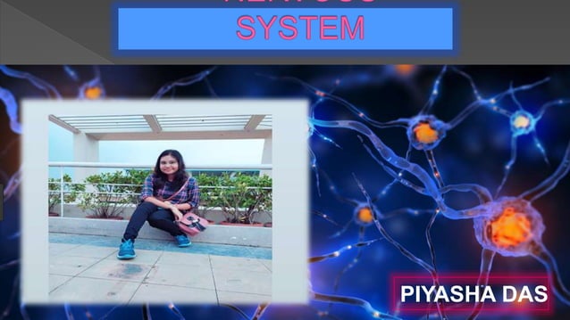 Nervous system PART 1 | PPT