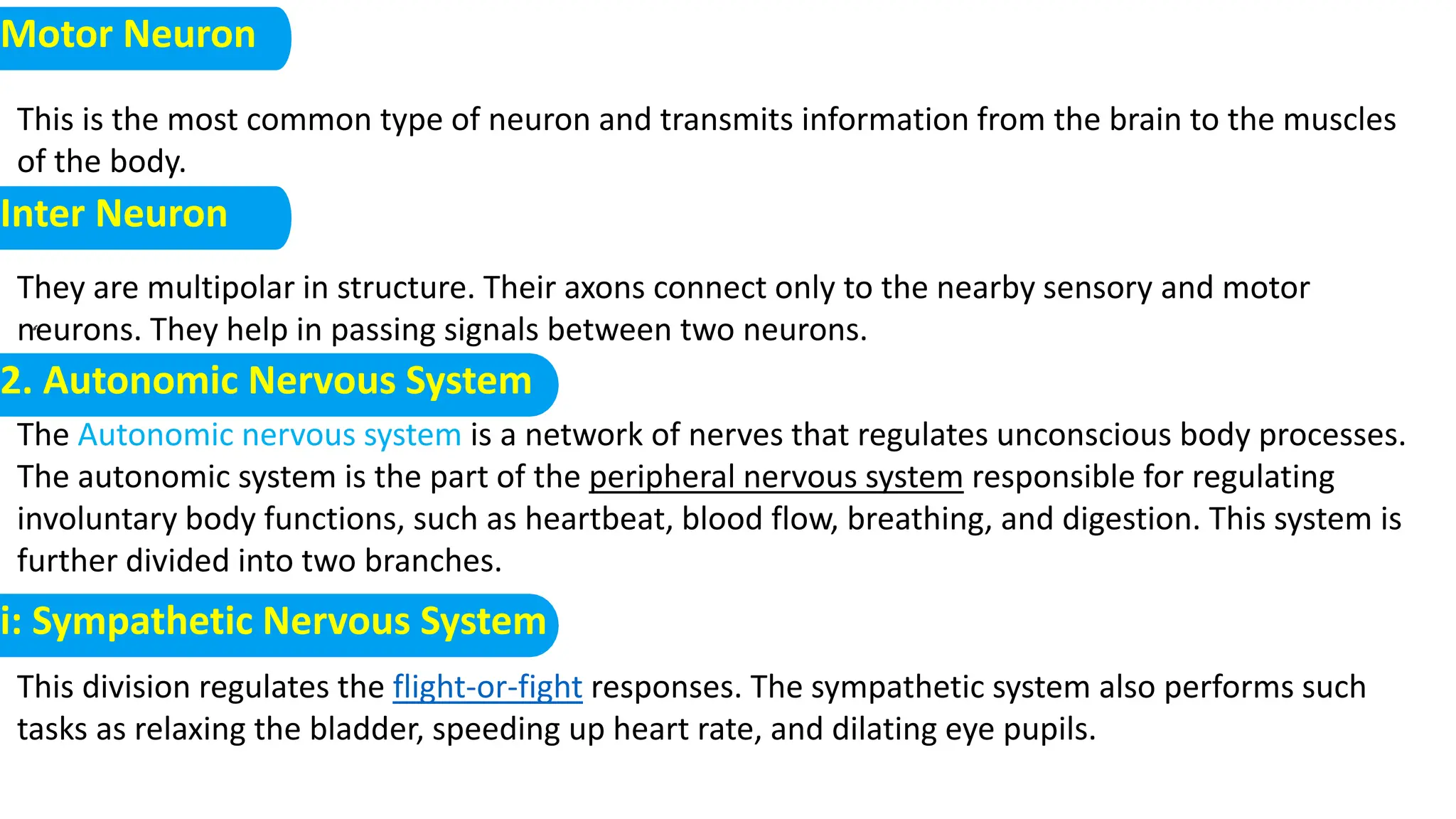 nervous system 1.pptx